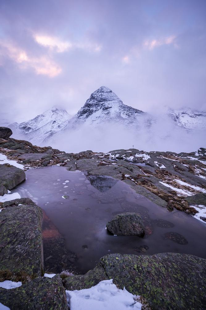 Les lauriers du Mont Seti - Dans l'oeil du Pierrot